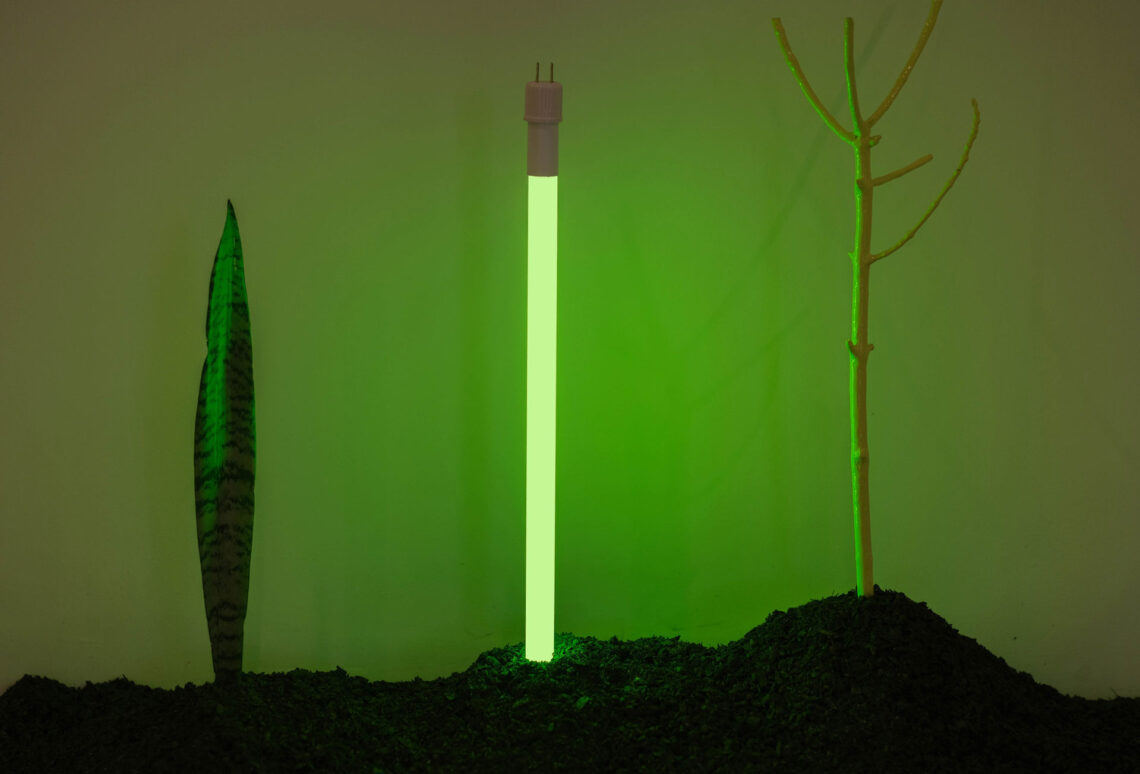 Flávia Dalla Bernardina: MARI NAGEM’S (RE)CODED WORLD - Art Dialogues